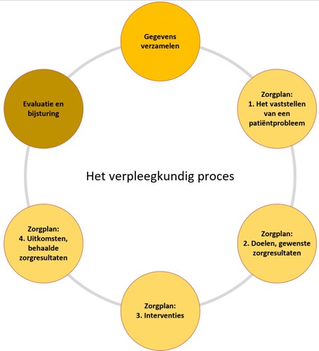 Het vastleggen van patiëntgegevens | V&VN Het vastleggen van patiëntgegevens | V&VN